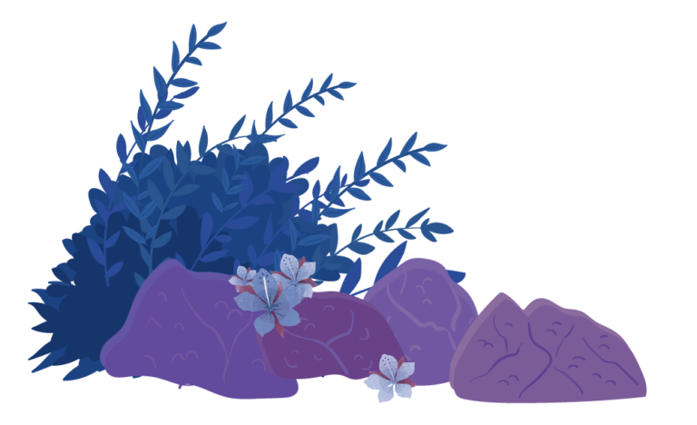 Hummy Sparkling Soju Seltzer